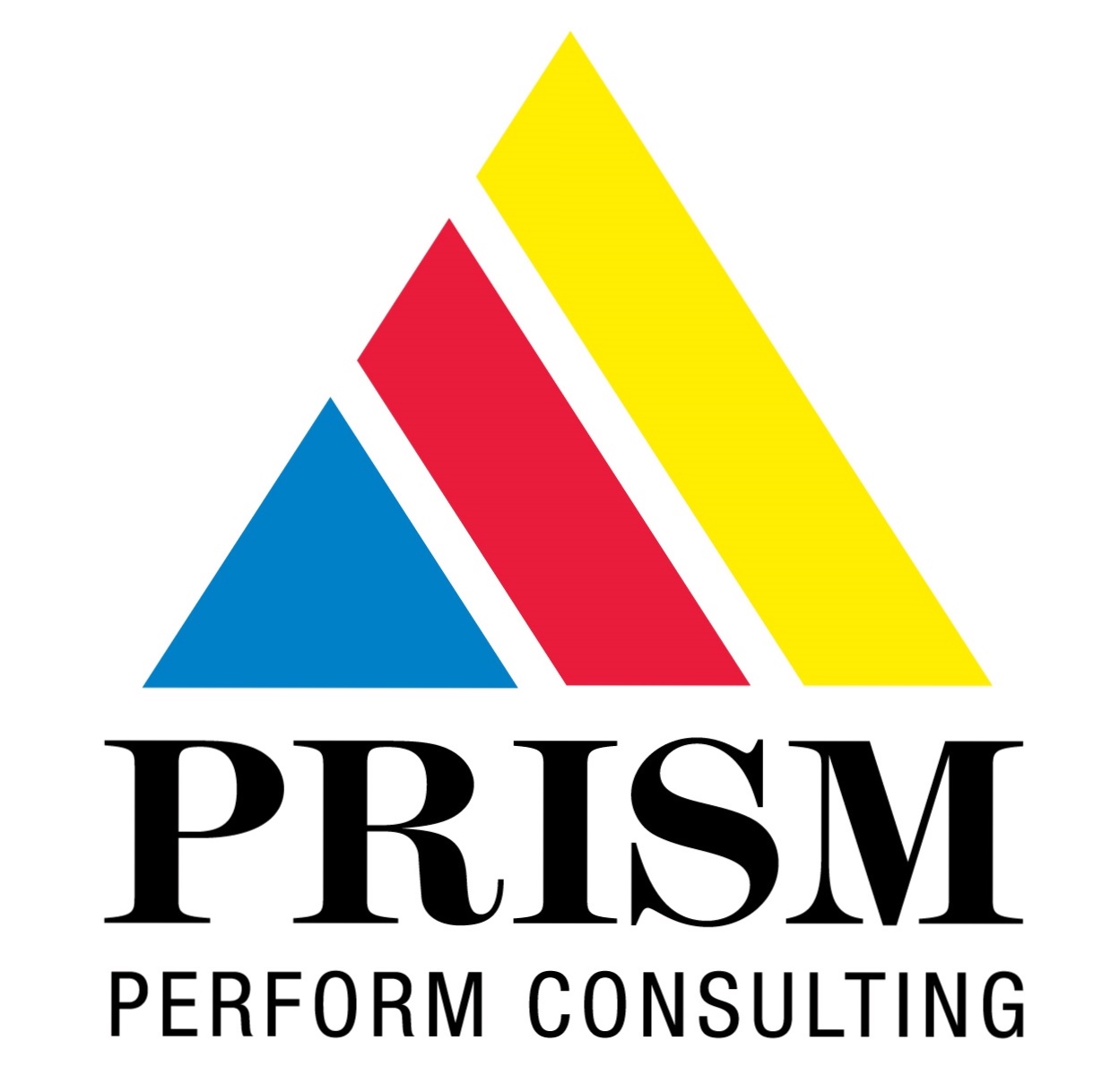 PRISM Perform Consulting LLC